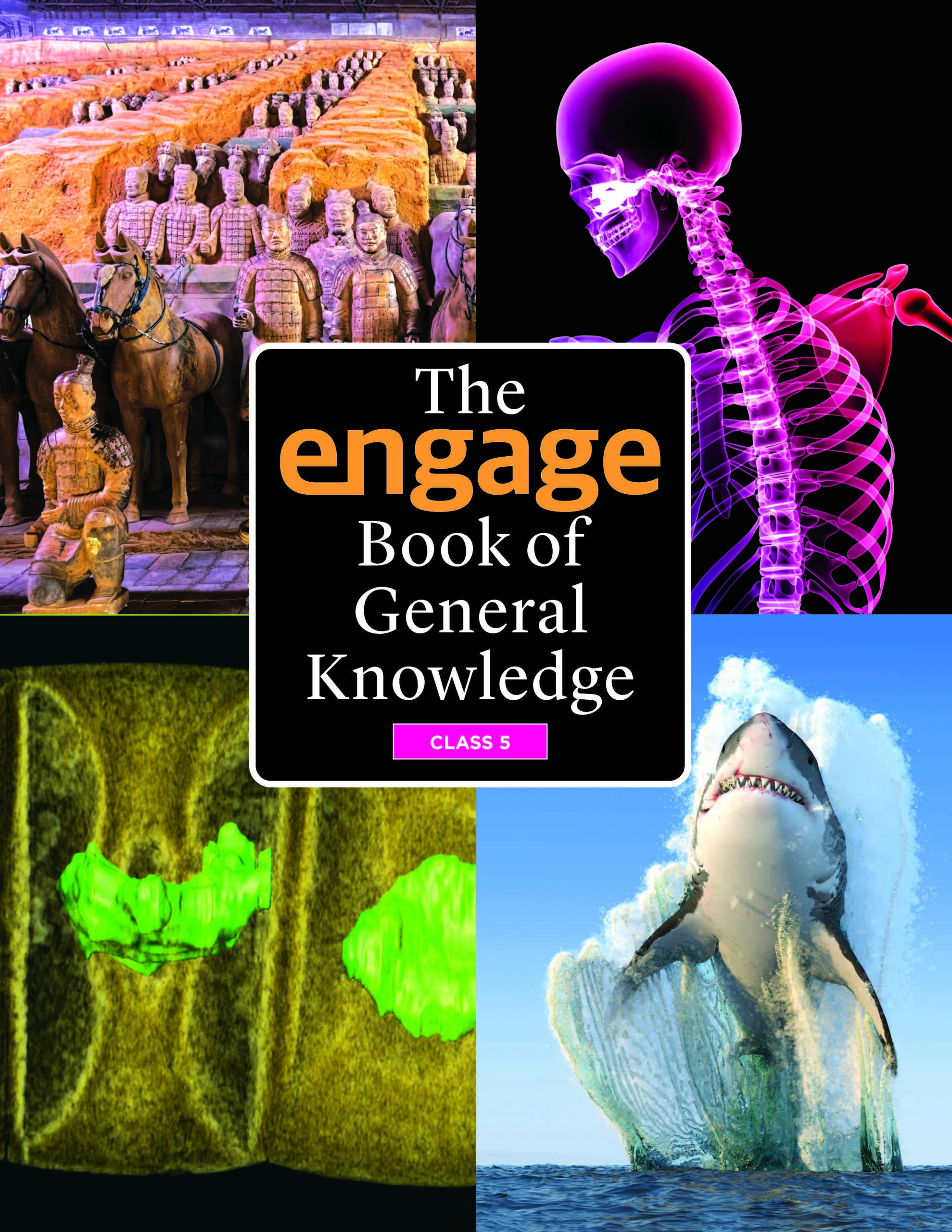 Shop Results | Engage Learning