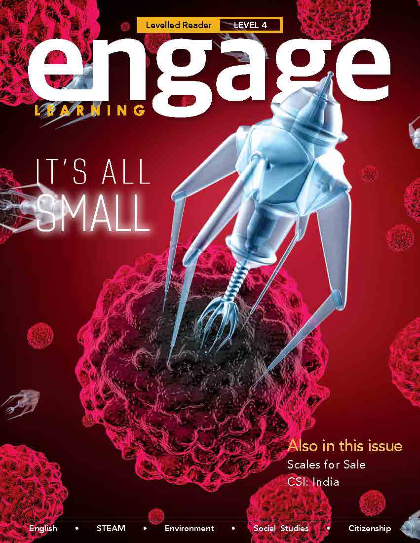 LEVEL 4 Reader It s All Small And Other Stories V3I1L4 Engage